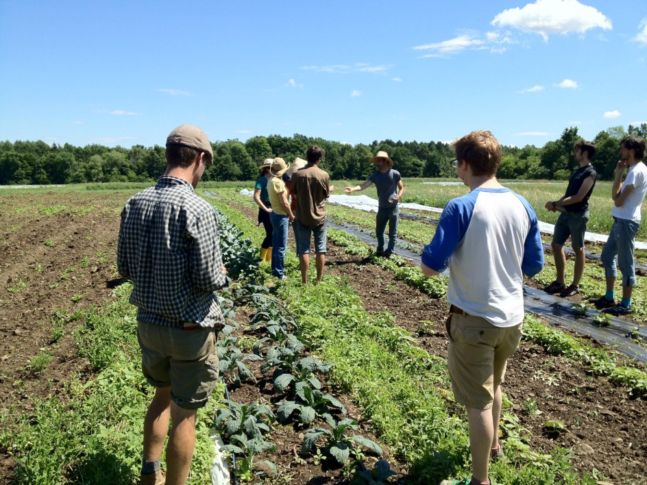 Community Farm Day | Santropol Roulant