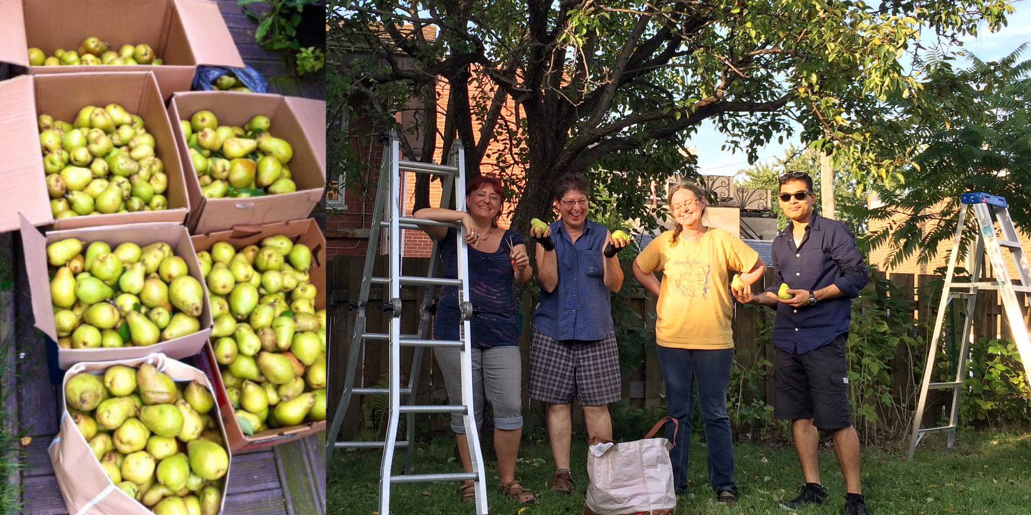 Une semaine fructueuse | Santropol Roulant