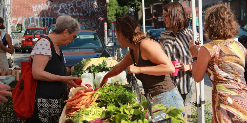 Job Offer: Market and Food Accessibility Coordinator | Santropol Roulant