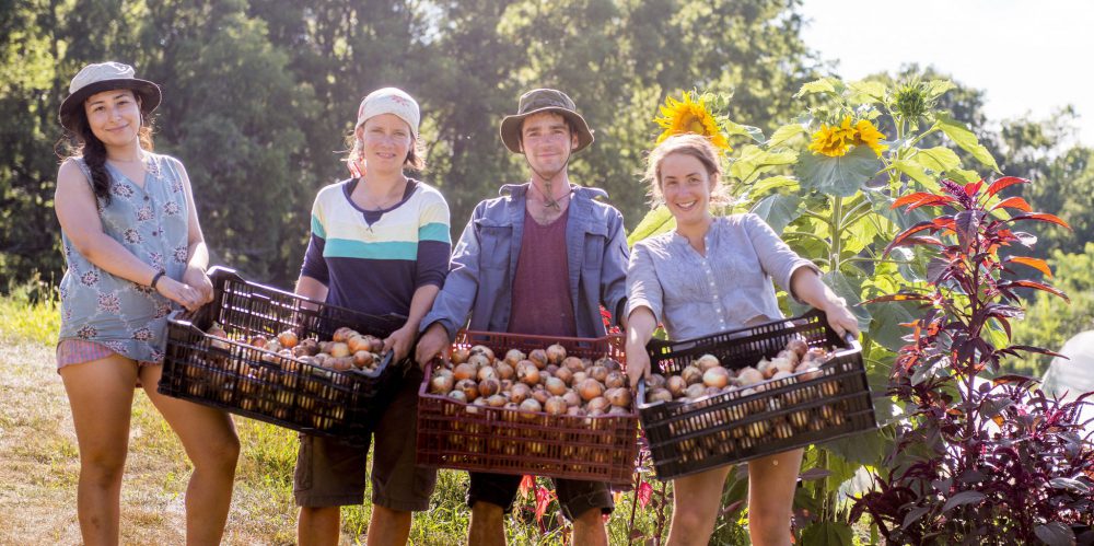 Opportunities in Agriculture are coming your way! | Santropol Roulant