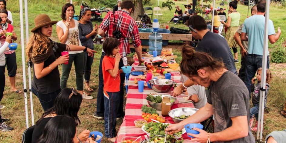Community farm day | Santropol Roulant