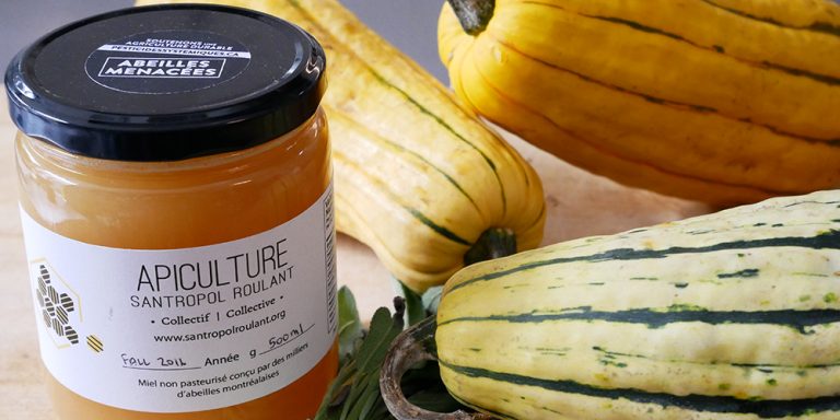 Courge delicata rôtie au miel et à la sauge | Santropol Roulant