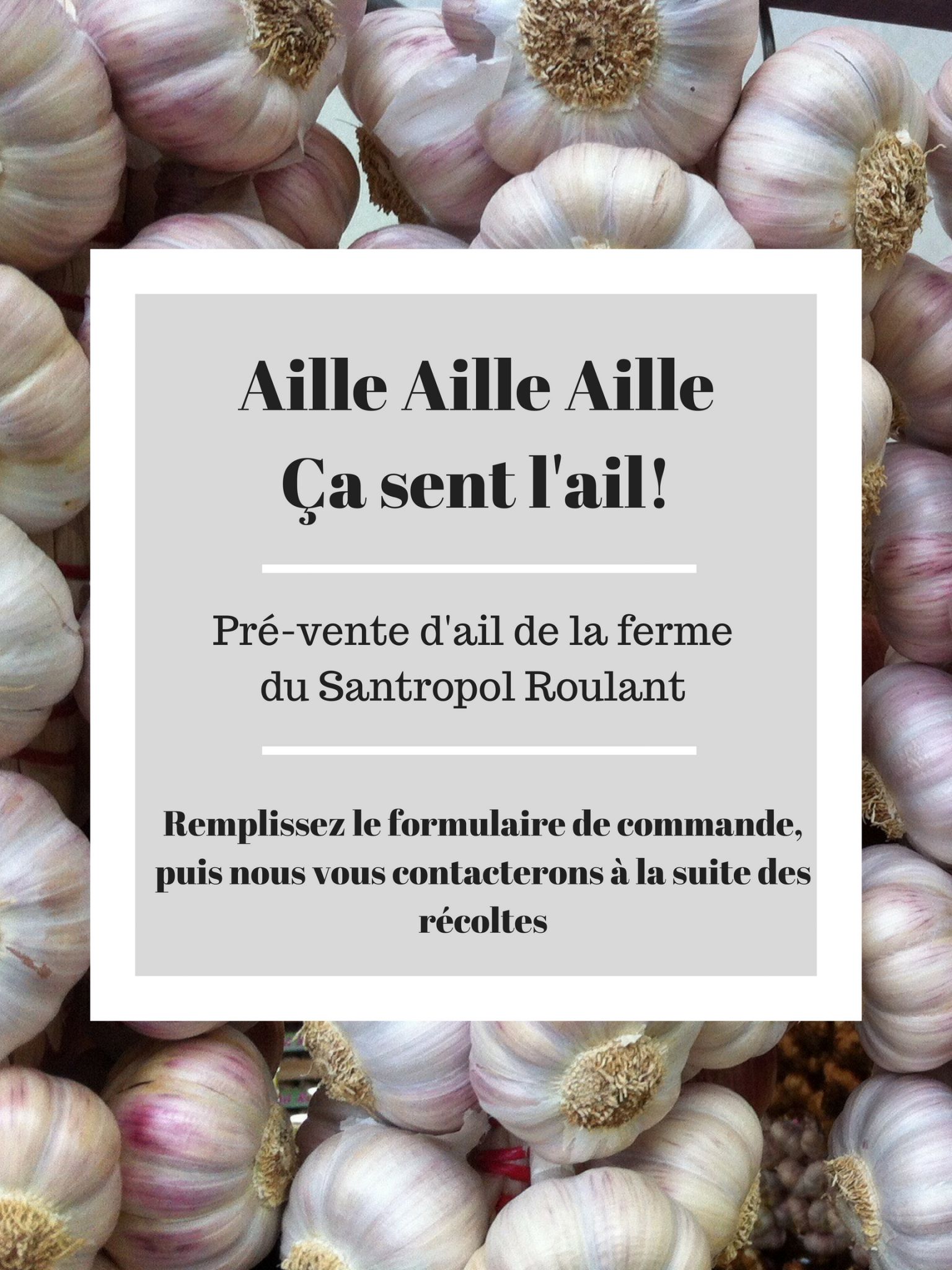 Pré-vente d’ail | Santropol Roulant