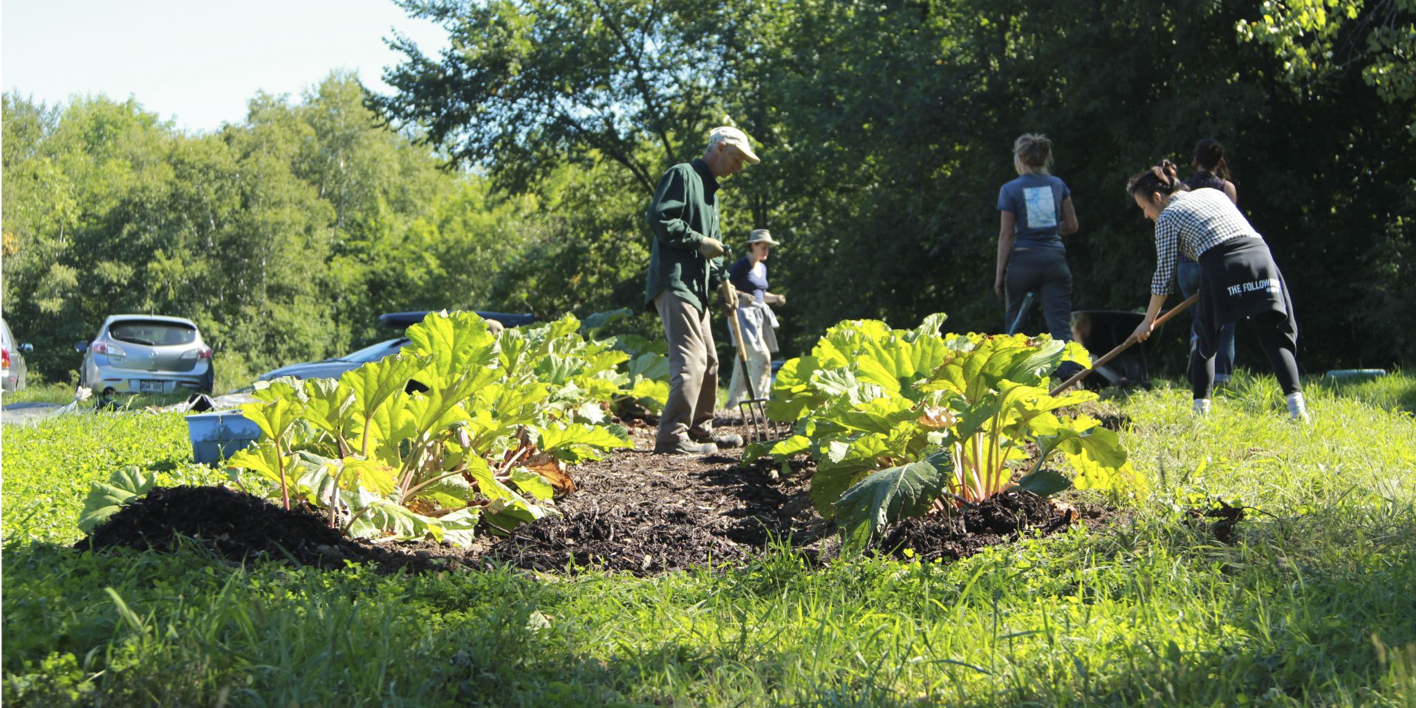 JOB OFFER: FARM MANAGER | Santropol Roulant