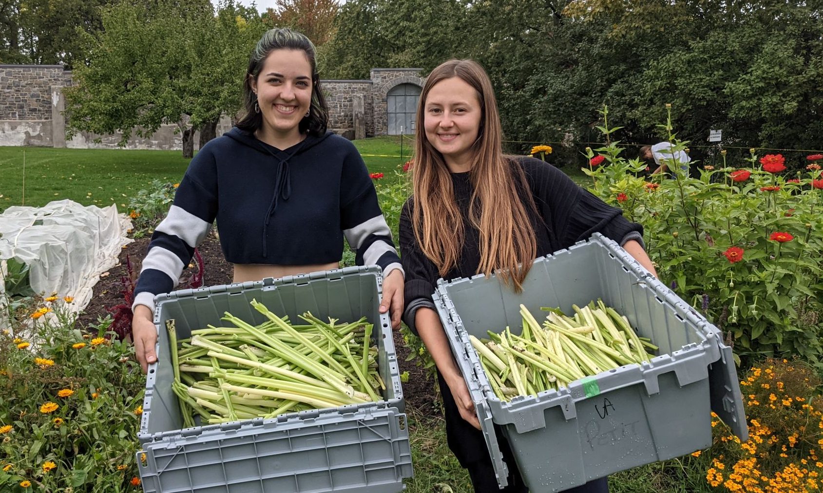 Become an agricultural volunteer ! 🌱 | Santropol Roulant