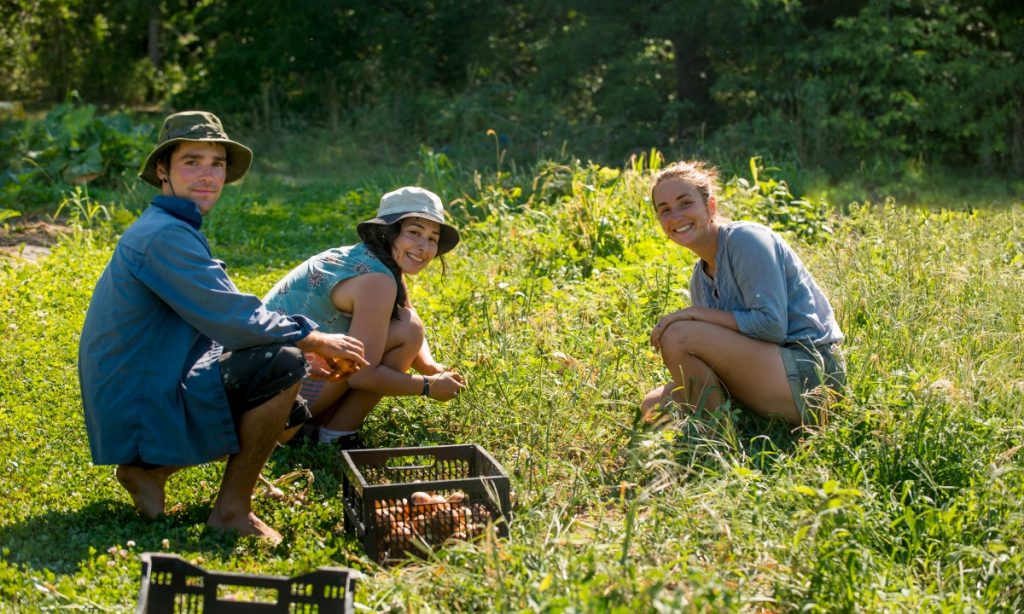 The Roulant at the heart of change | Santropol Roulant