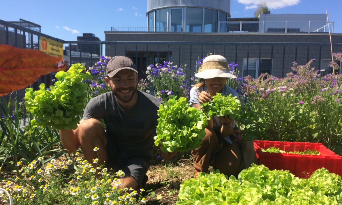 Agriculture Volunteering | Santropol Roulant