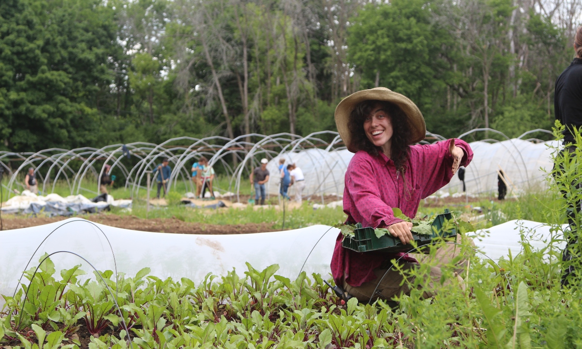 Volunteer in agriculture this summer | Santropol Roulant