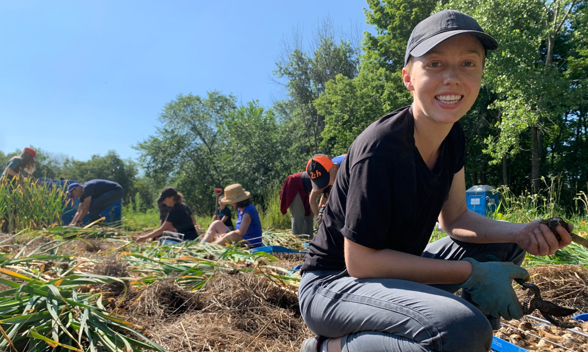 Community Farm Day: Garlic Planting | Santropol Roulant